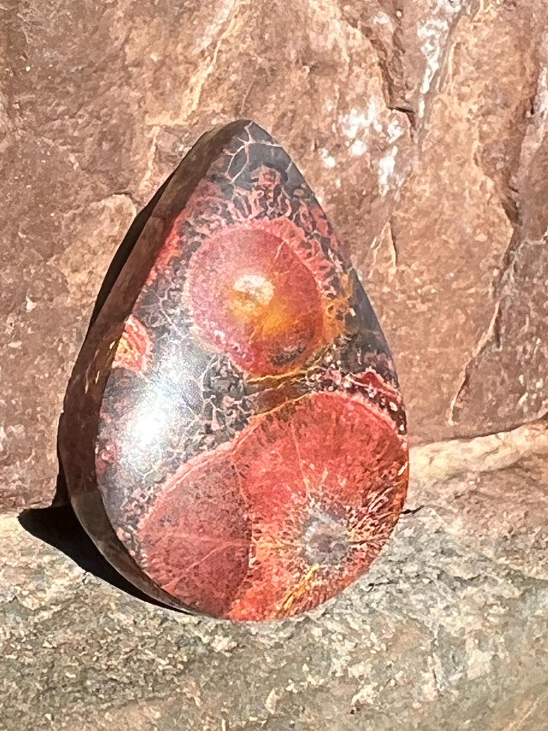 Galaxy Orbicular Rhyolite Cabochon - Etsy