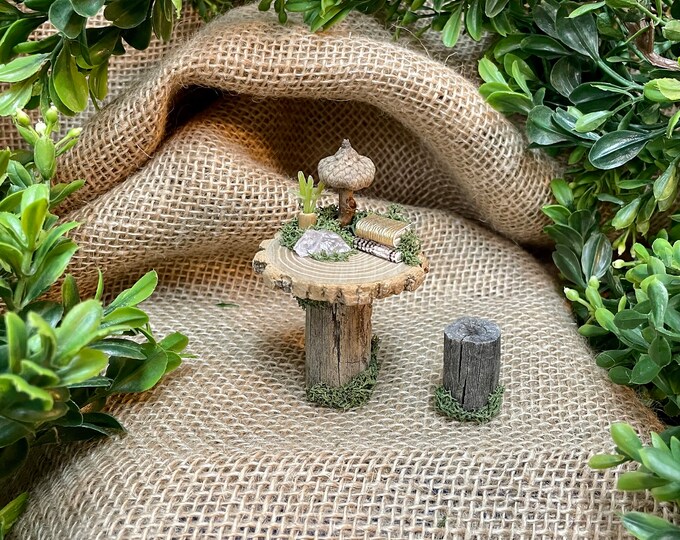 Miniature Fairy Garden Table, Mini Fairy Garden, Mini Fairy Garden ...