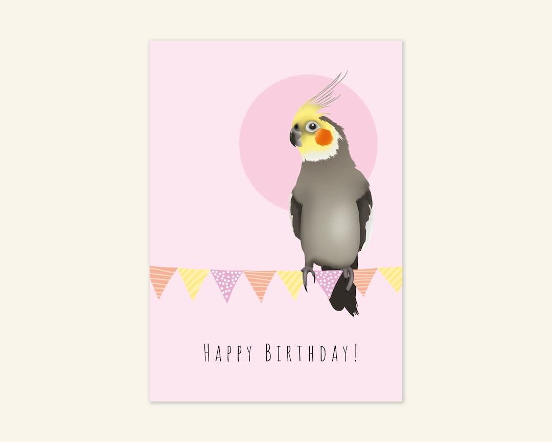 Cockatiel Happy Birthday Card - Etsy