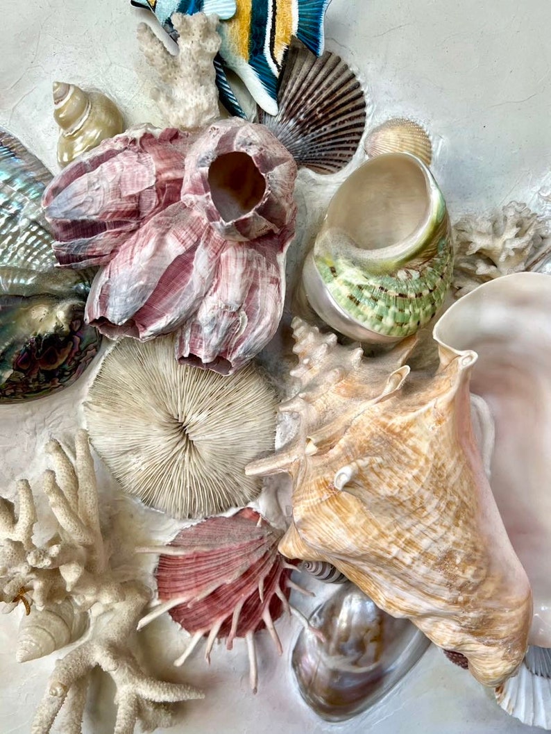 Large Coastal Sculptural Natural Sea Shell Beach Collage Wall Art - Etsy
