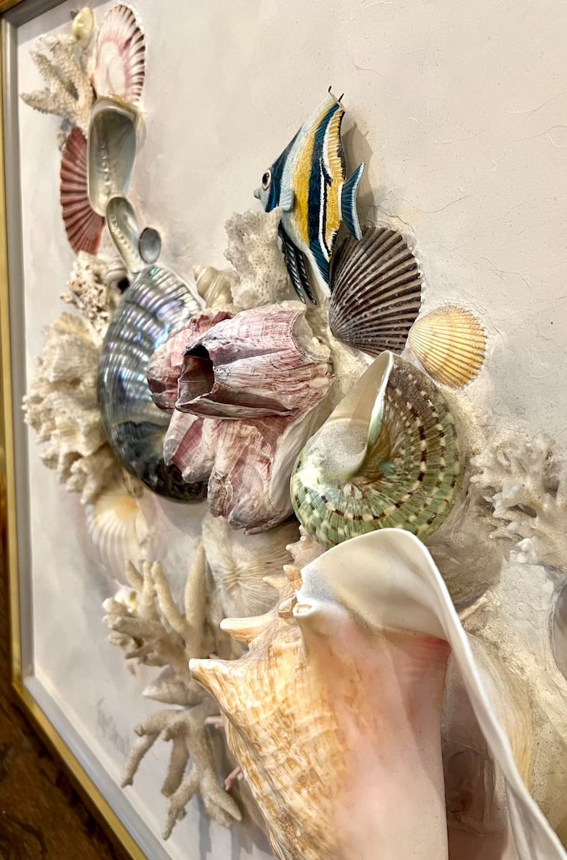 Large Coastal Sculptural Natural Sea Shell Beach Collage Wall Art - Etsy