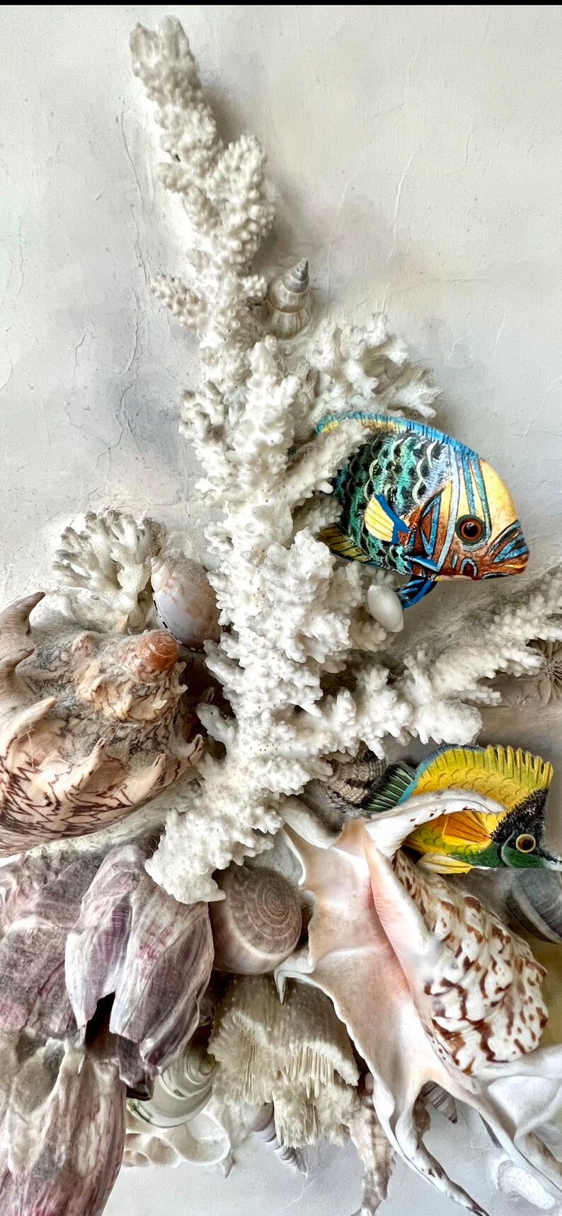 Large Coastal Sculptural Natural Sea Shell Beach Collage Wall Art - Etsy