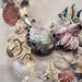 Large Coastal Sculptural Natural Sea Shell Beach Collage Wall Art - Etsy