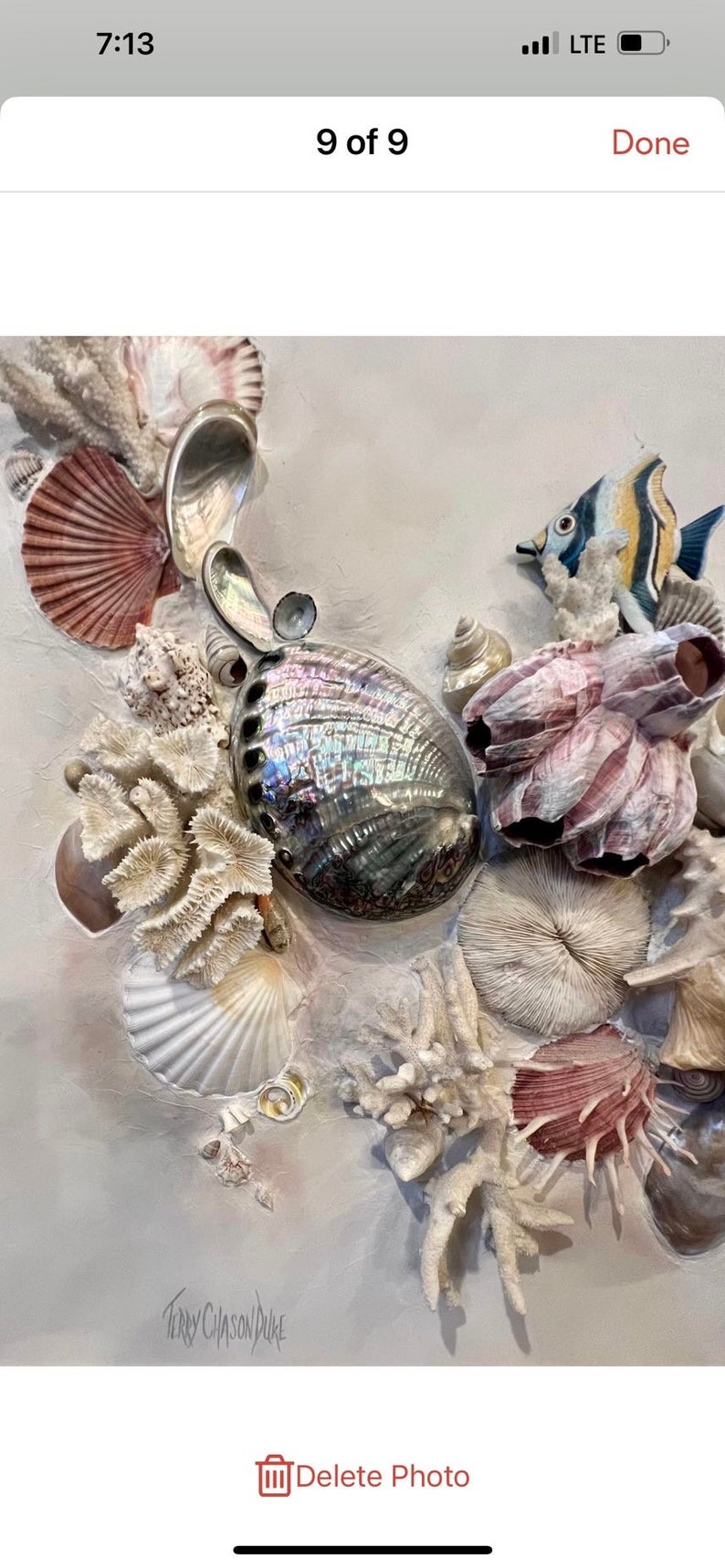 Large Coastal Sculptural Natural Sea Shell Beach Collage Wall Art - Etsy