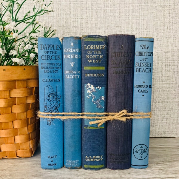 Vintage Book Stack - Etsy