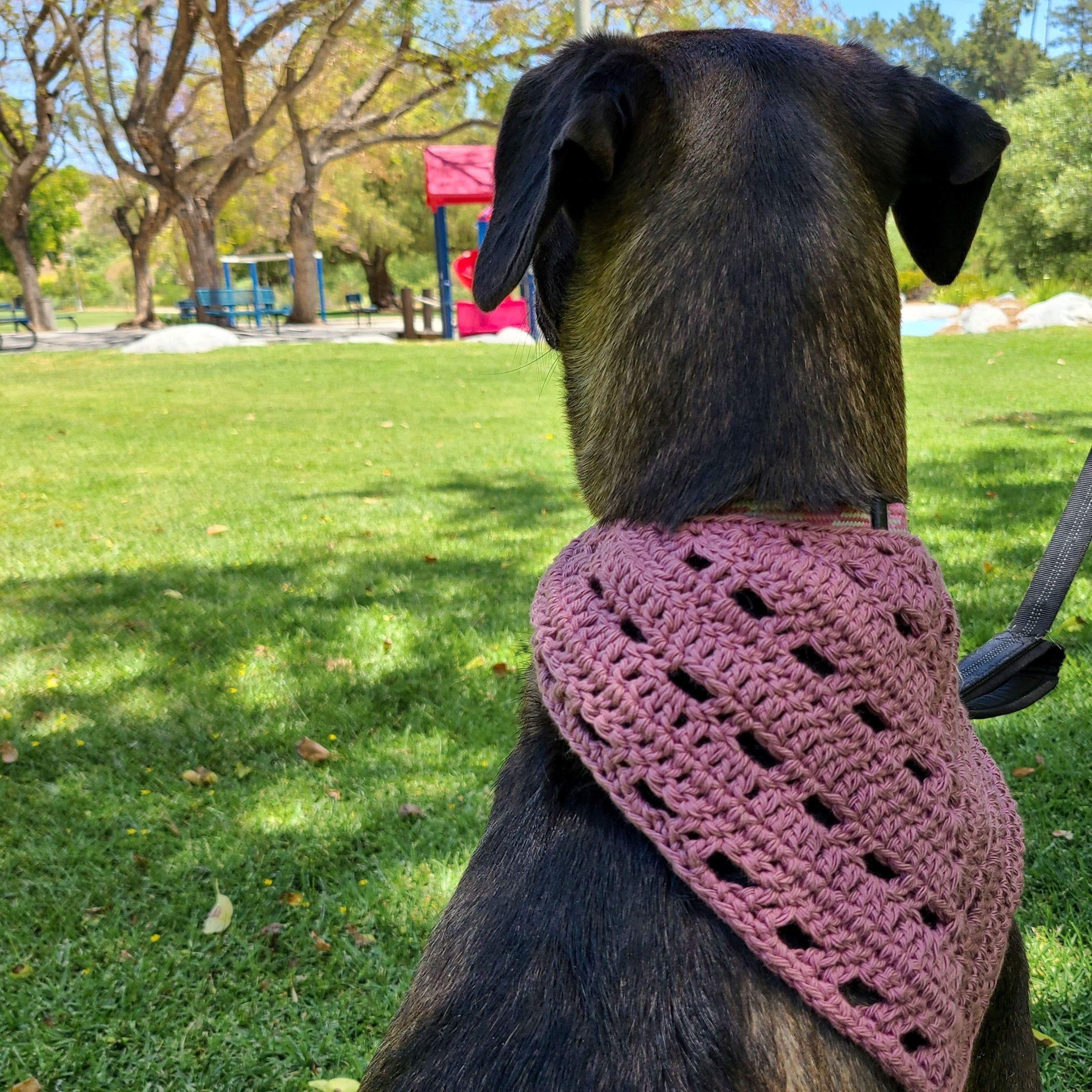 Crochet Dog Bandana Pattern PDF Crochet Pet Bandana Crochet - Etsy