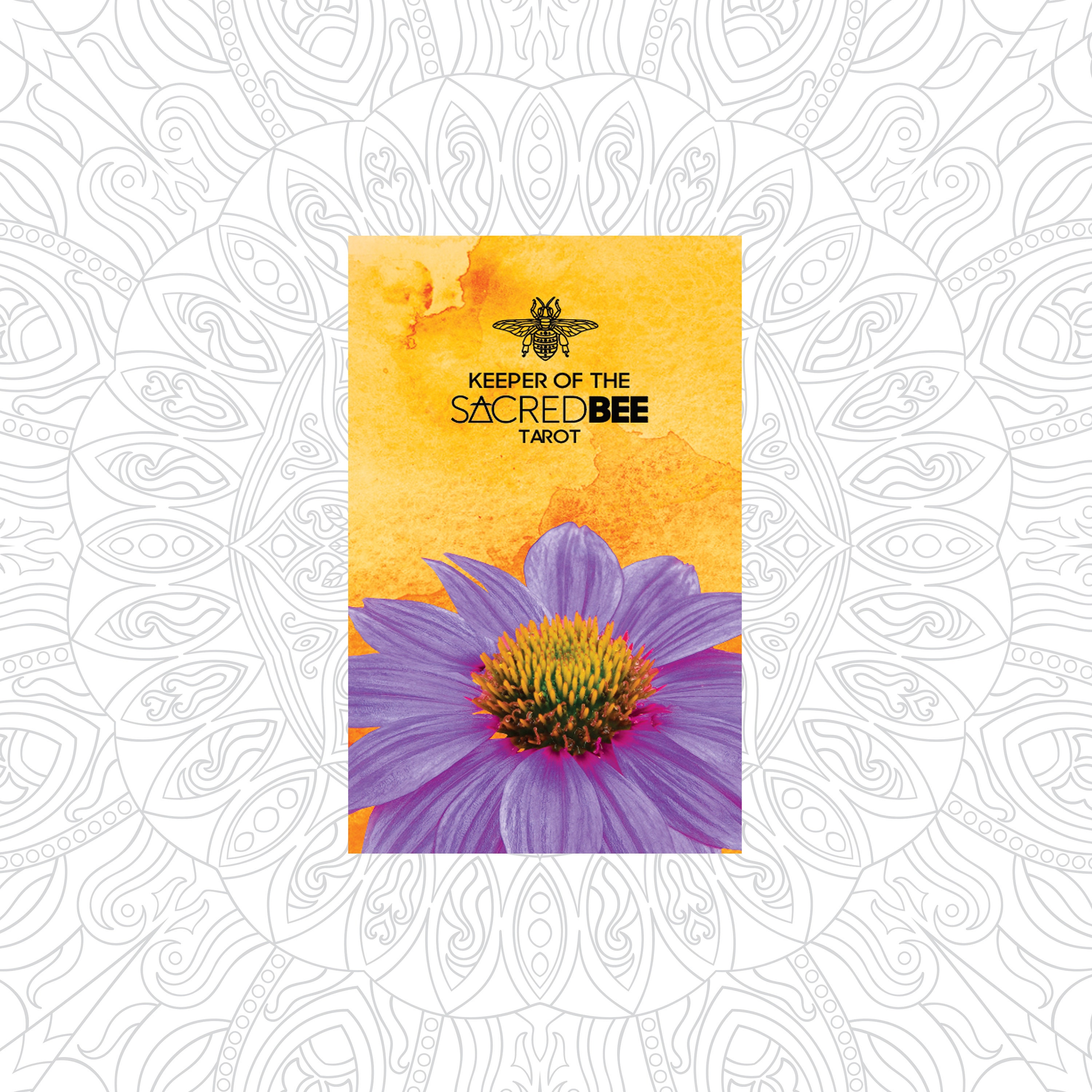 The Most Beautiful Tarot Deck - Etsy