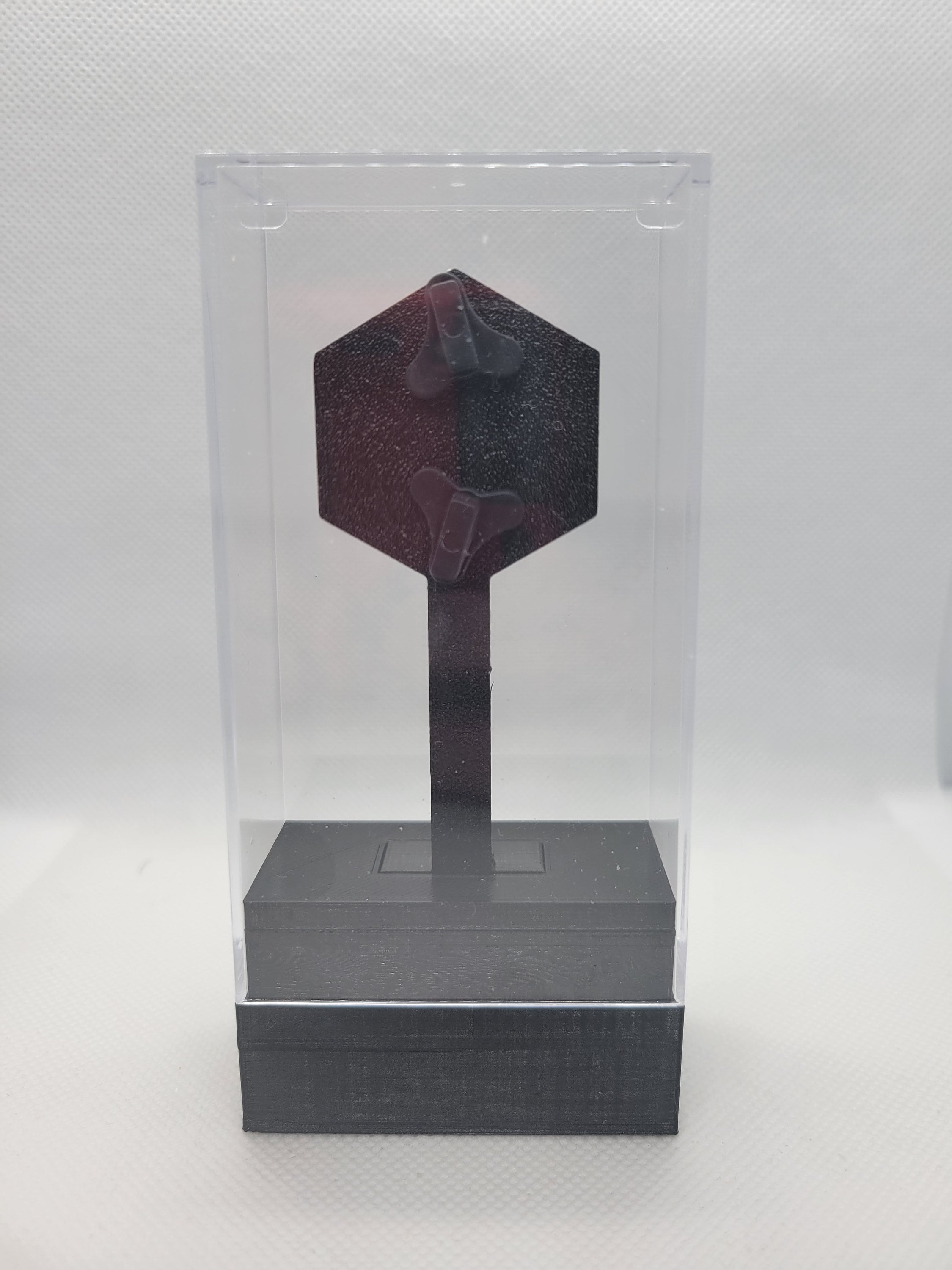 Destiny 2 - Raid Pin Display - Black *NEW* - Etsy