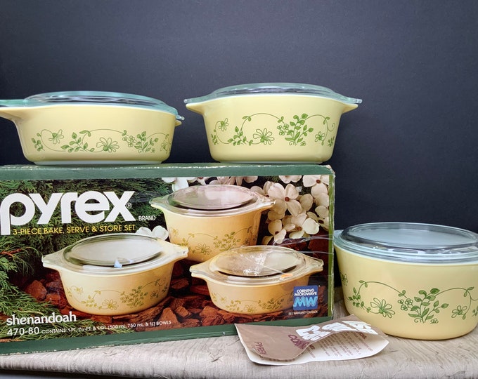 Spring Blossom Crazy Daisy Vintage Pyrex Complete Refrigerator Set 8 ...