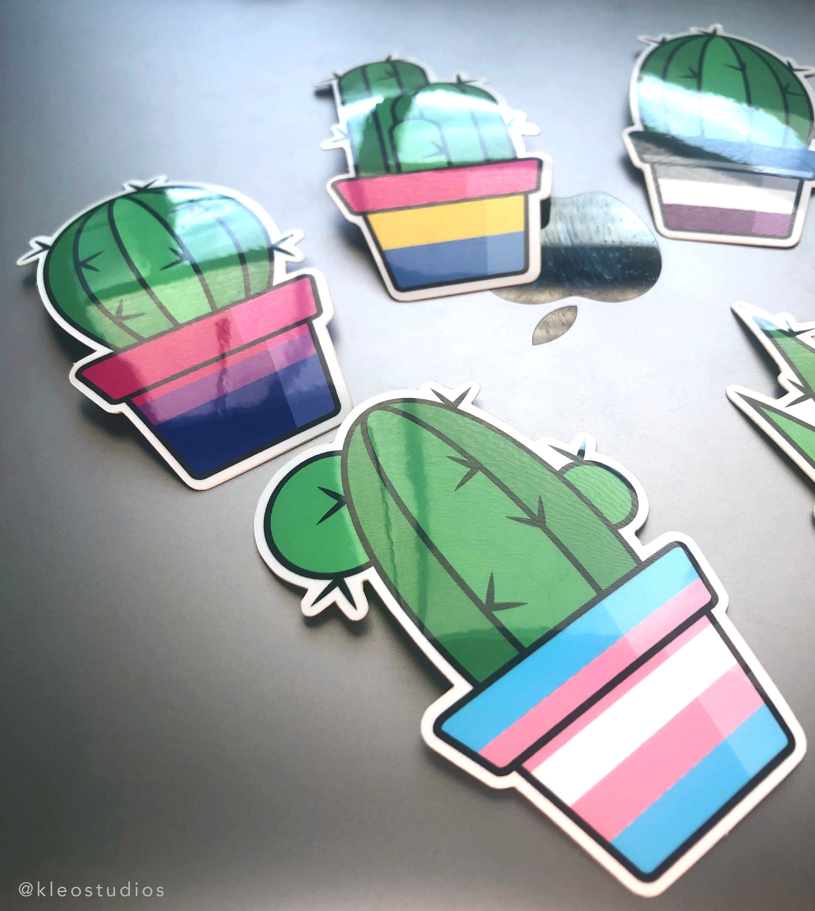 LGBT Cactus Plant Vinyl Sticker Pack - Etsy