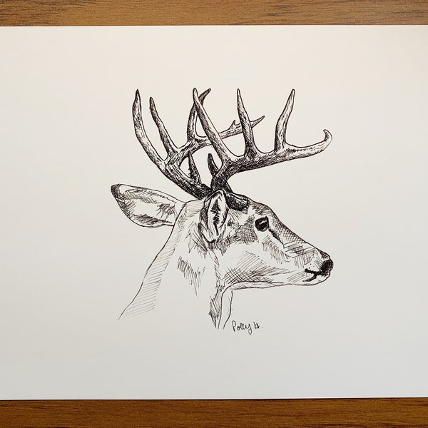 Pen and Ink Deer Art - Etsy