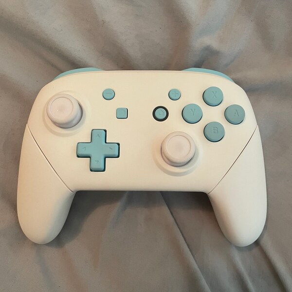 Custom Nintendo Switch Pro Controller - Etsy