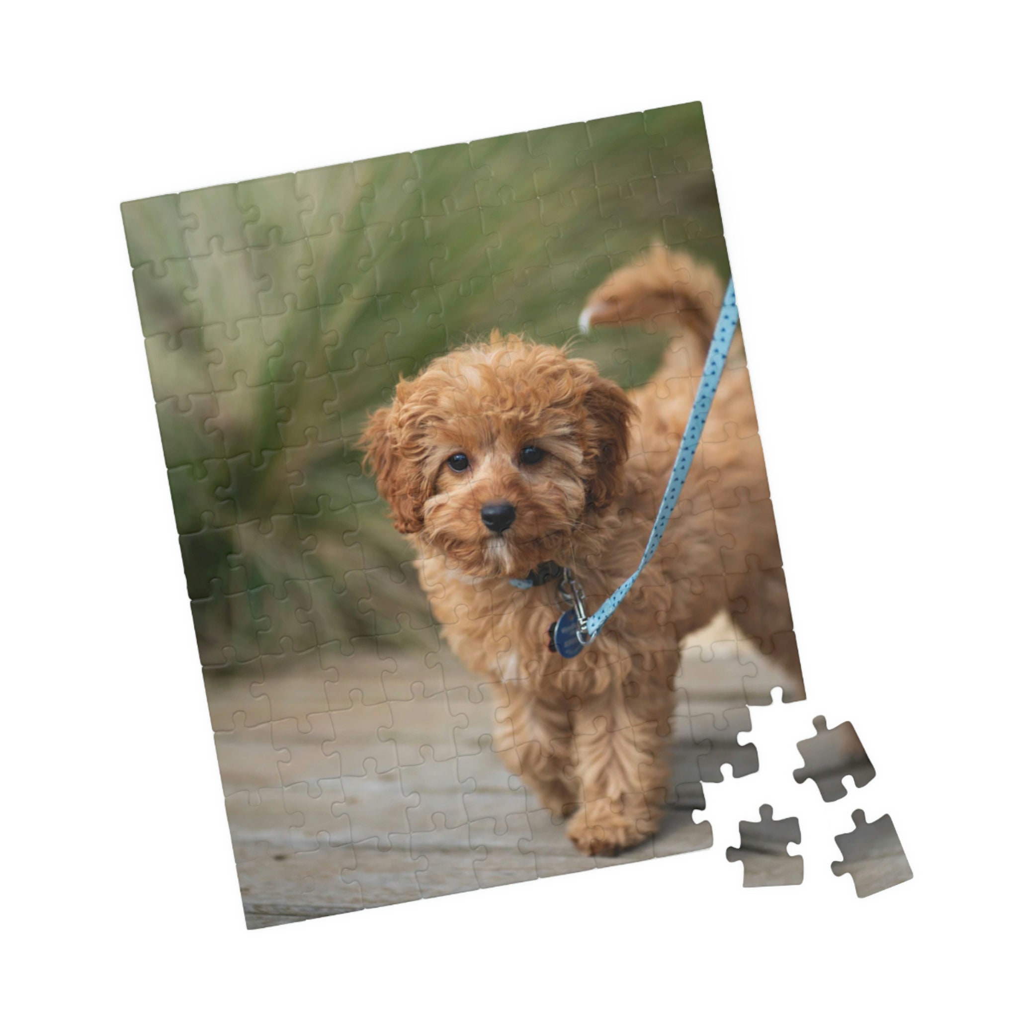 Cavoodle Puzzle, Cavoodle Dog Puzzle, Funny Dog Puzzle, Cute Dog Puzzle ...