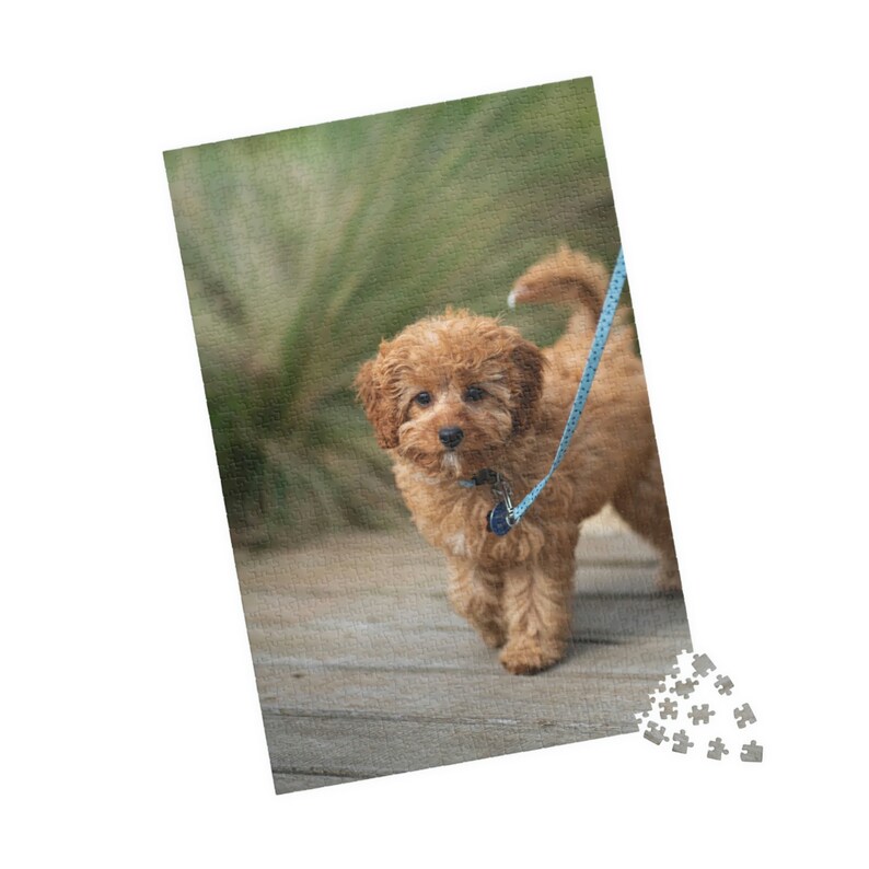Cavoodle Puzzle, Cavoodle Dog Puzzle, Funny Dog Puzzle, Cute Dog Puzzle ...
