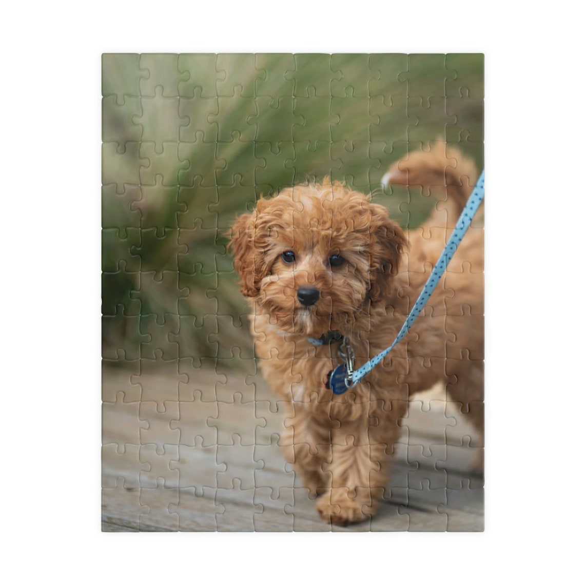 Cavoodle Puzzle, Cavoodle Dog Puzzle, Funny Dog Puzzle, Cute Dog Puzzle ...