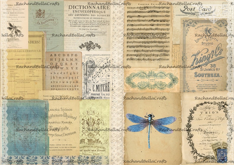Dragonfly Junk Journal Kit – Botanical Ephemera, Printable Pages ...