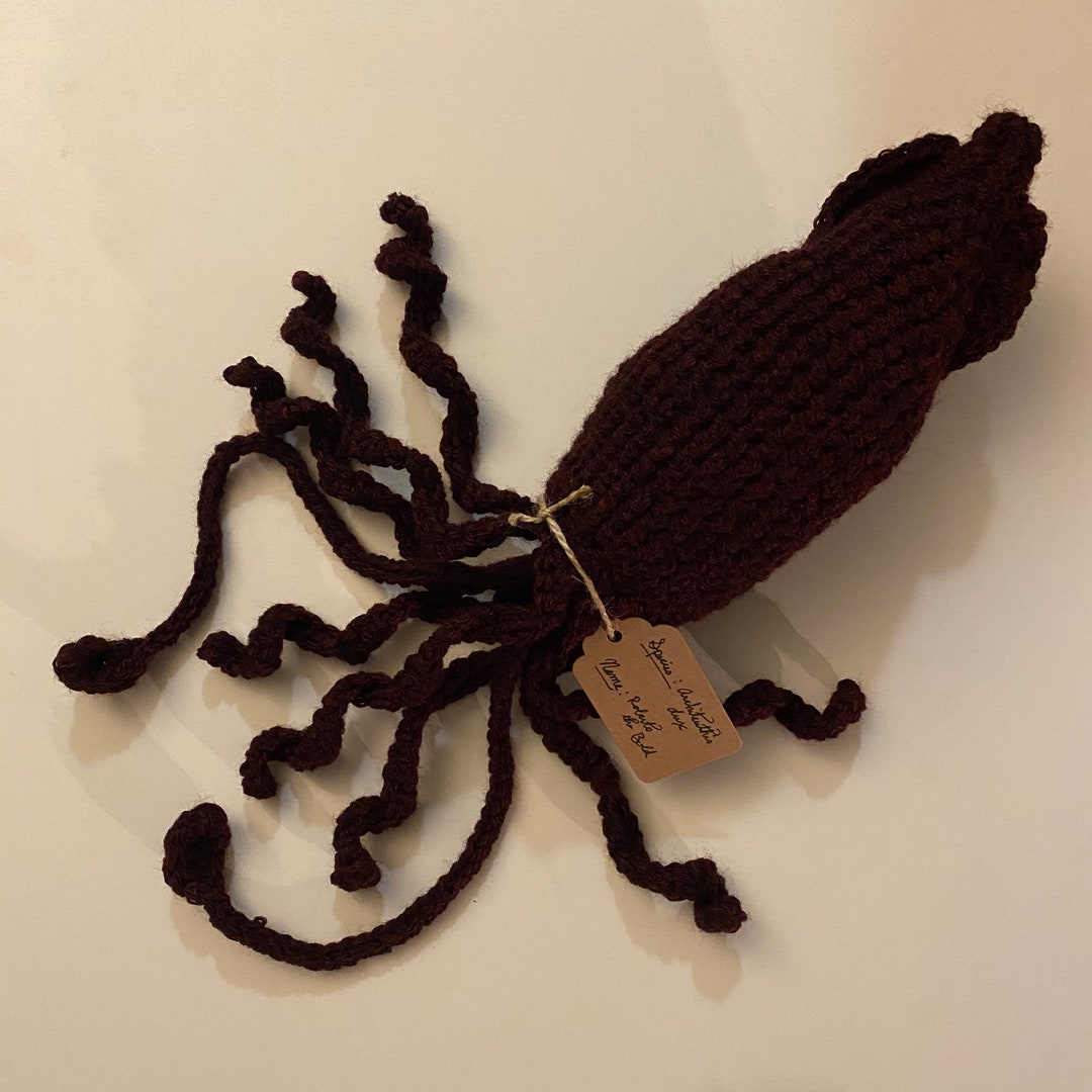Roberto the Bold Crochet Giant Squid Specimen Stuffed Animal - Etsy