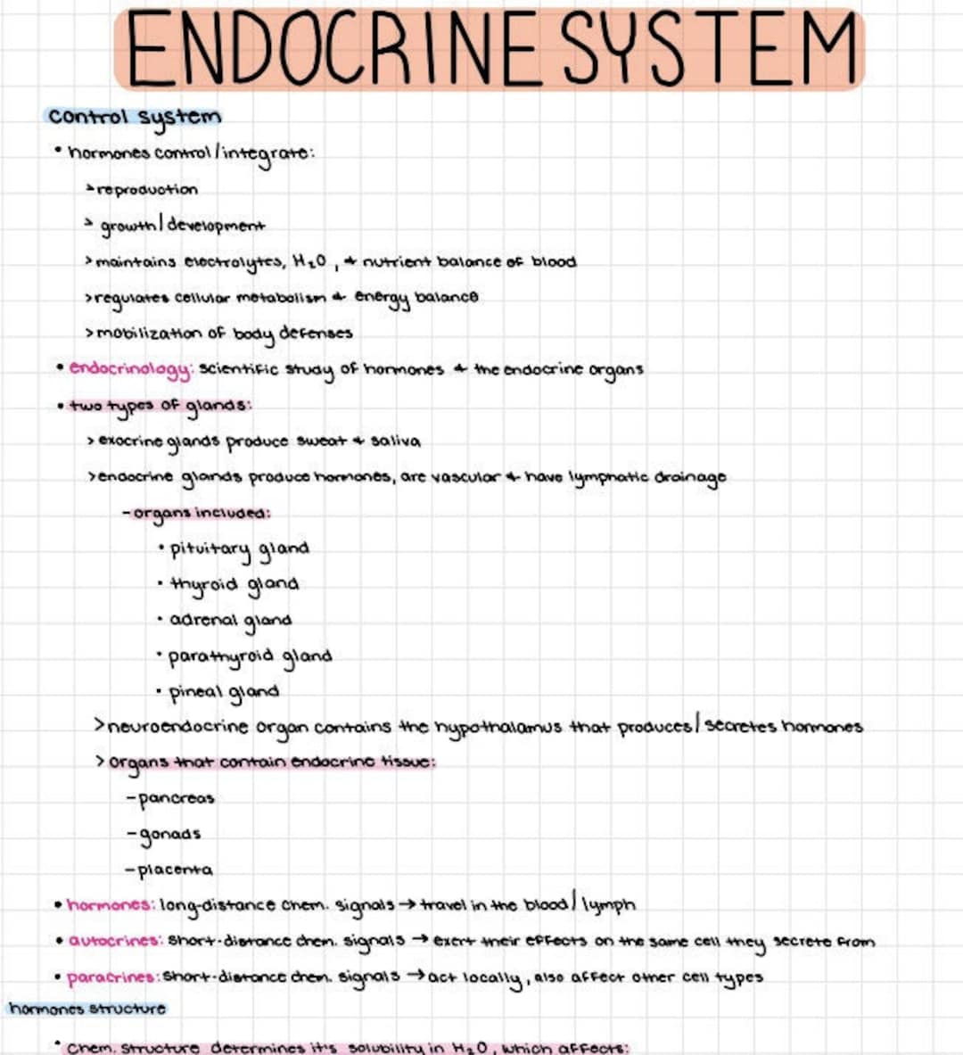 The Endocrine System (very Detailed-18 Pdf Pages) - Etsy