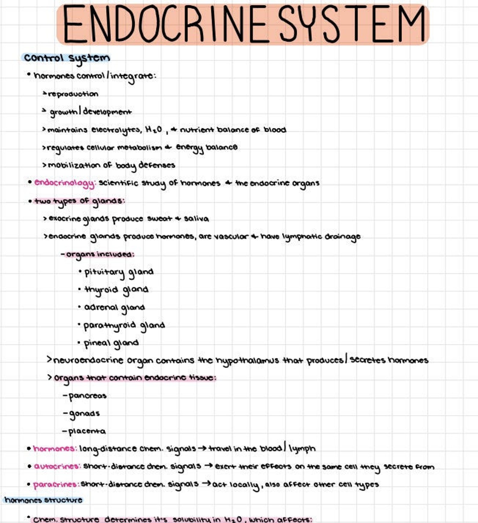 The Endocrine System (very Detailed-18 Pdf Pages) - Etsy