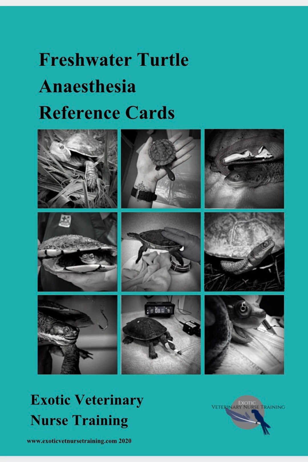 Freshwater Turtle Anaesthesia Reference Cards - Etsy