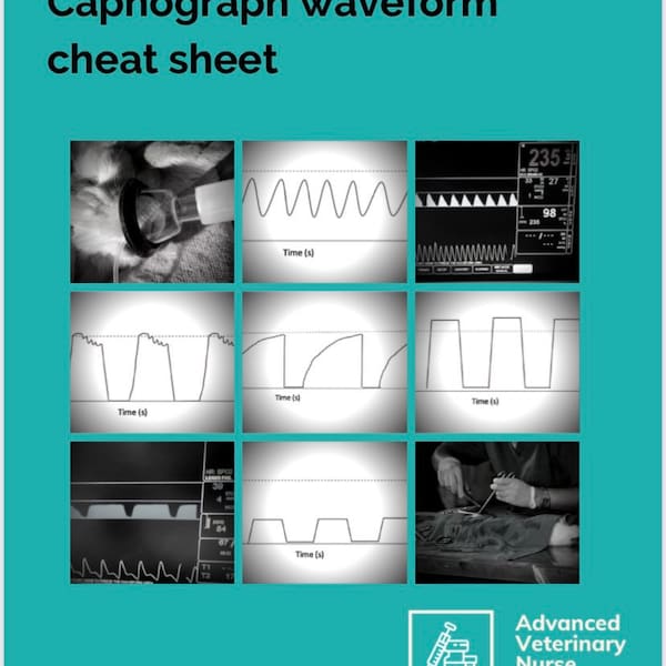 Waveform - Etsy