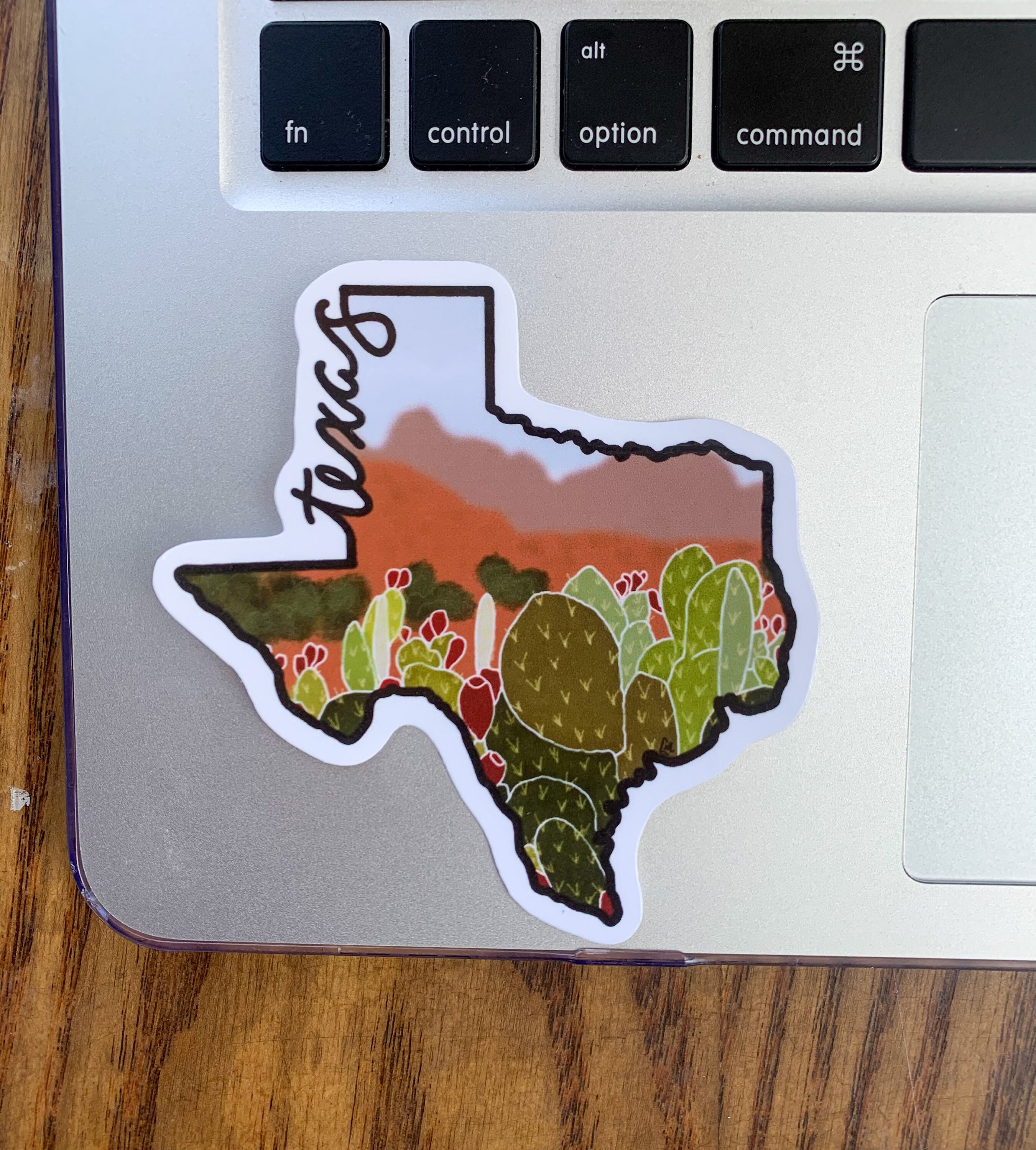 Cute Texas Sticker Texas State Stickers Texas State Art - Etsy