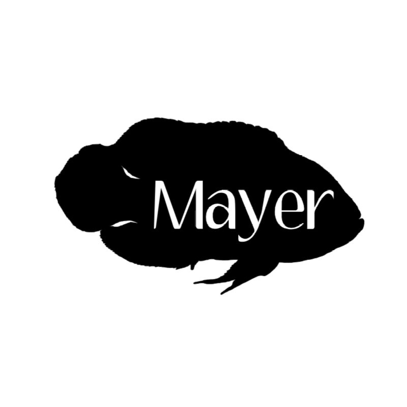 Customizable Name Oscar Fish Vinyl Decal READ DESCRIPTION - Etsy