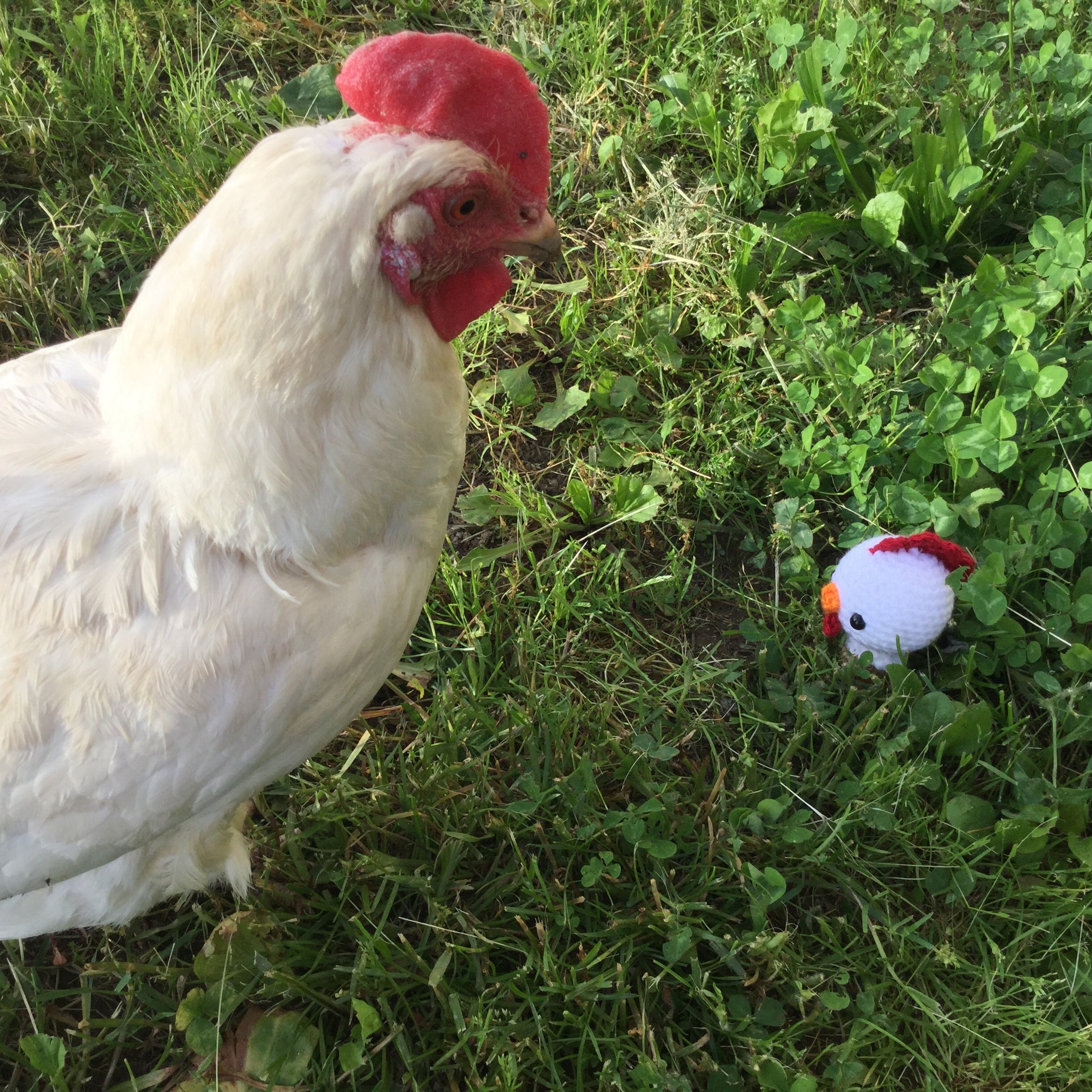 Little Rooster Chicken Handmade Crochet Amigurumi Stuffed Toy | Etsy