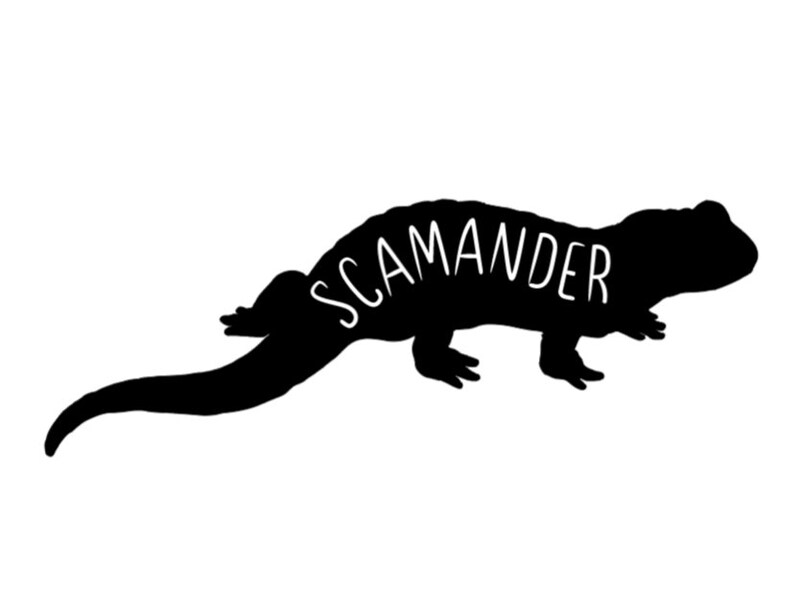 Customizable Name Salamander Newt Vinyl Decal READ - Etsy