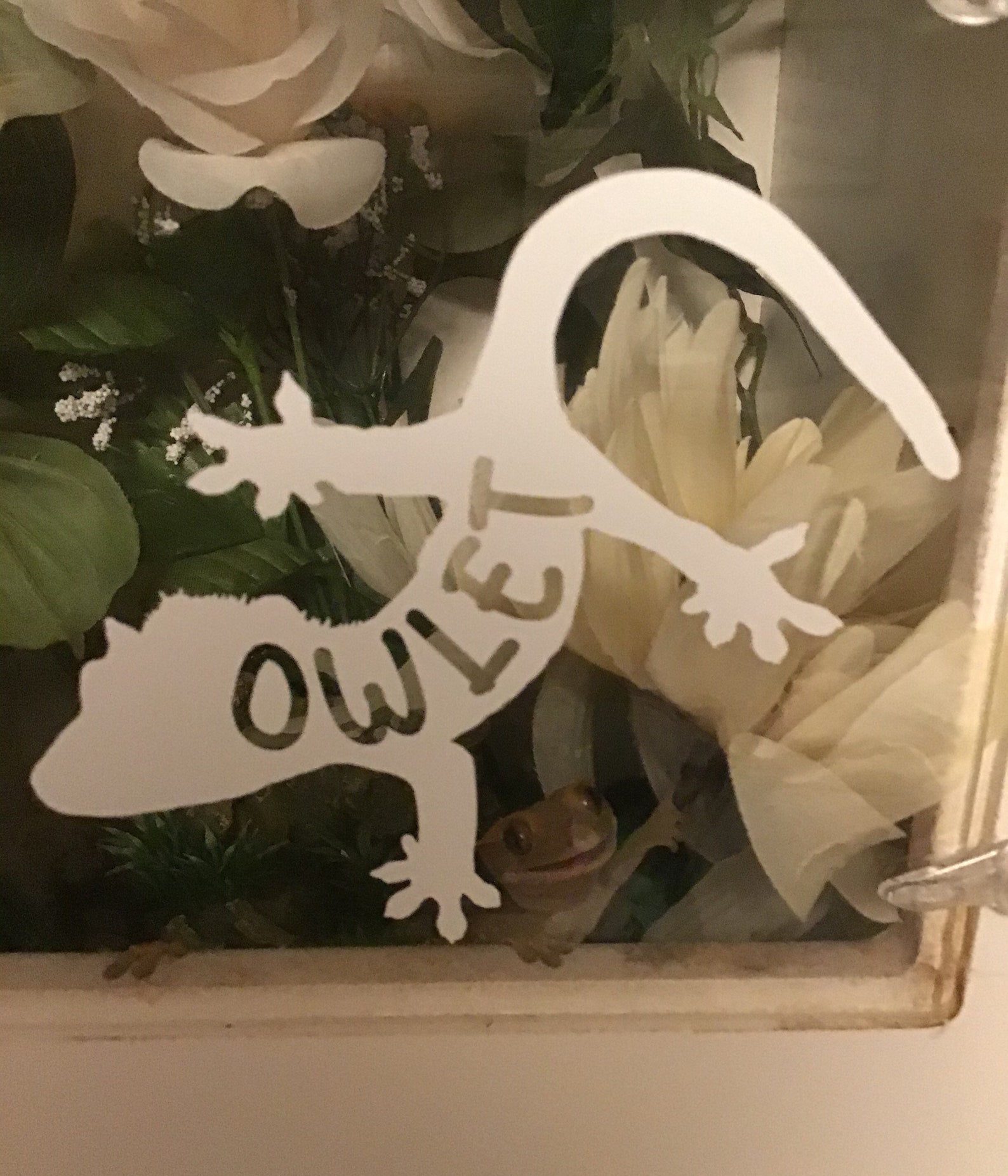 Customizable Name Crested Gecko Lizard Vinyl Decal READ - Etsy