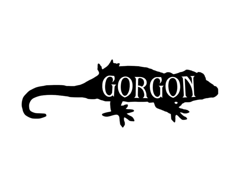 Customizable Name Gargoyle Gecko Lizard Vinyl Decal READ | Etsy