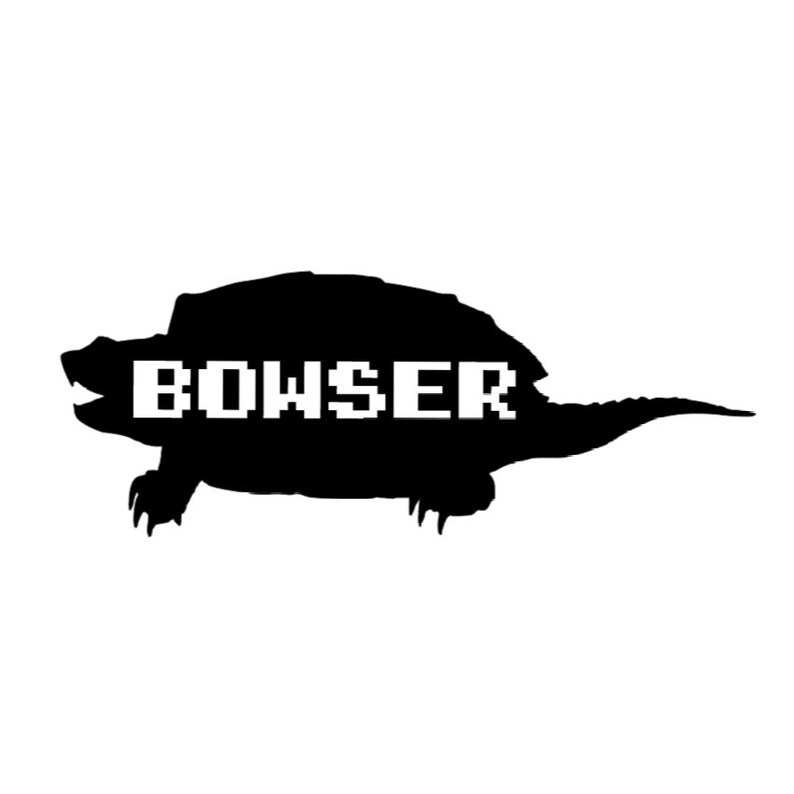 Customizable Name Snapping Turtle Snapper Vinyl Decal READ - Etsy