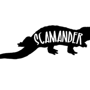 Customizable Name Salamander Newt Vinyl Decal READ | Etsy