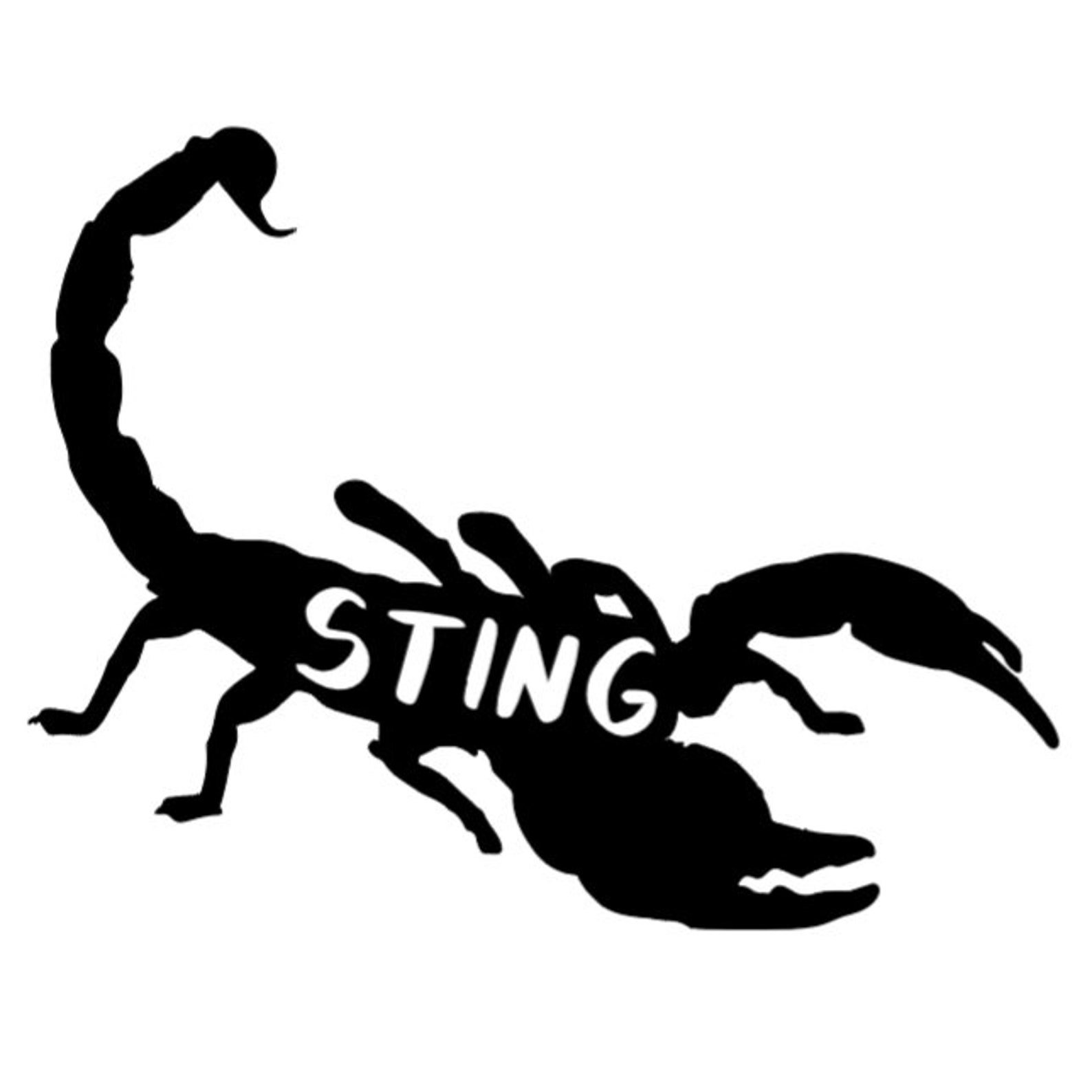 Customizable Name Scorpion Vinyl Decal READ DESCRIPTION - Etsy