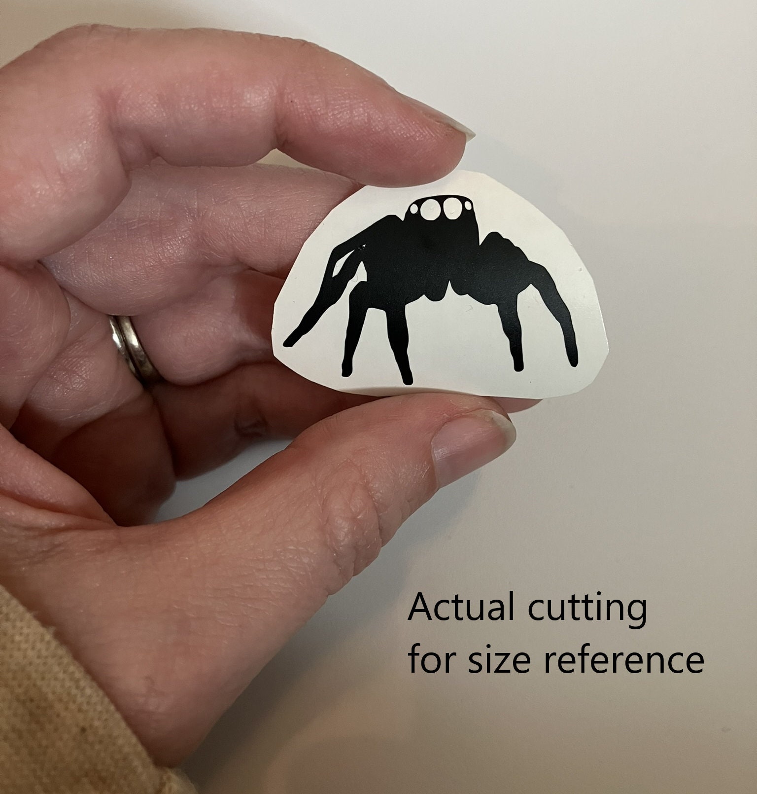 Customizable Name Jumping Spider Vinyl Decal READ - Etsy