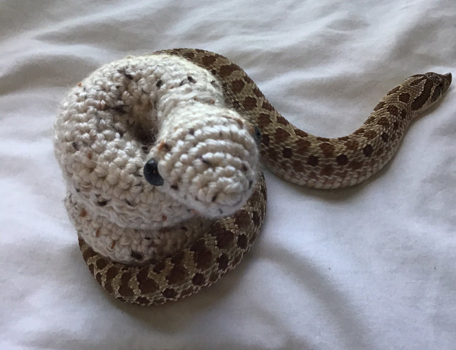 Swirly Snek Coiled Snake Handmade Crochet Amigurumi | Etsy
