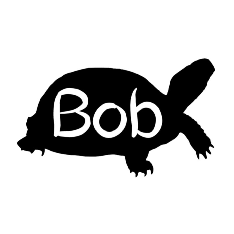 Customizable Name Box Turtle Vinyl Decal READ DESCRIPTION - Etsy