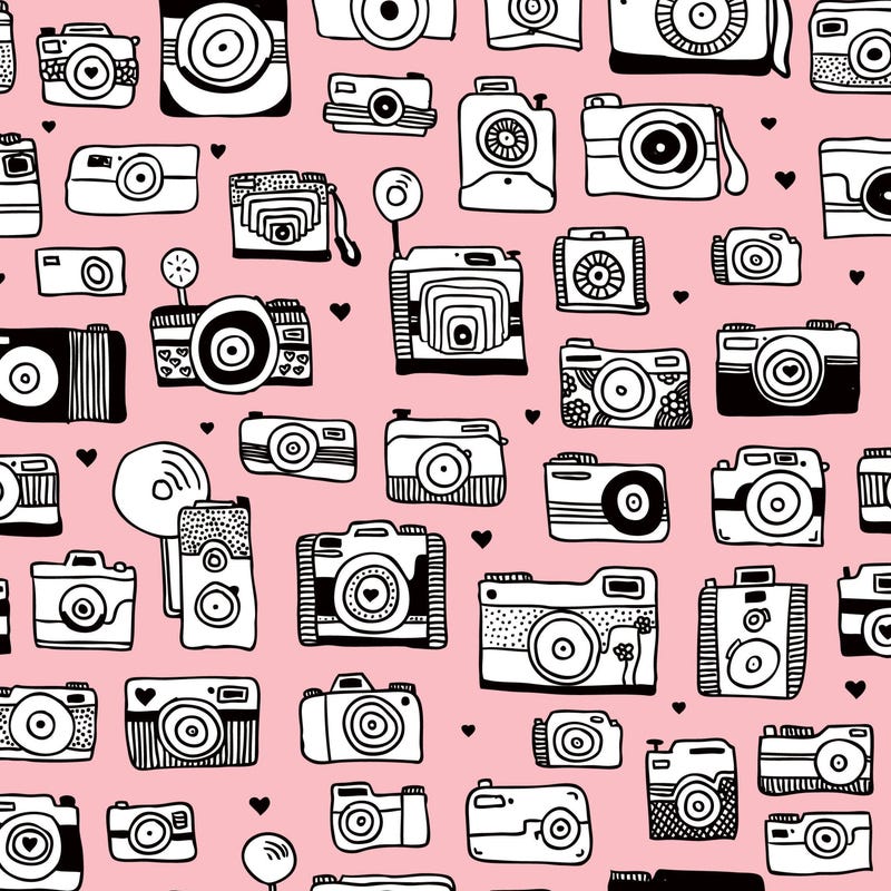 Camera Fabric - Etsy