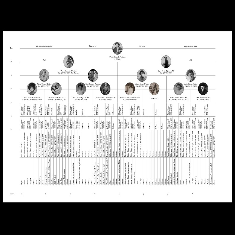 7 Generation Family Tree Template for Canva, Editable 24x18 in Ancestry ...