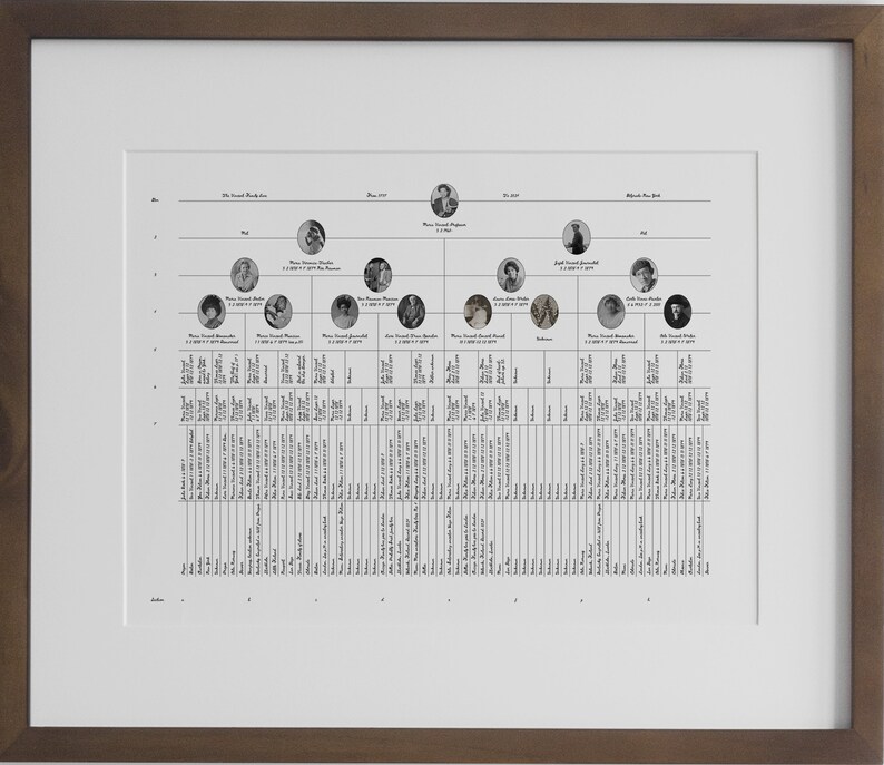 7 Generation Family Tree Template for Canva, Editable 24x18 in Ancestry ...