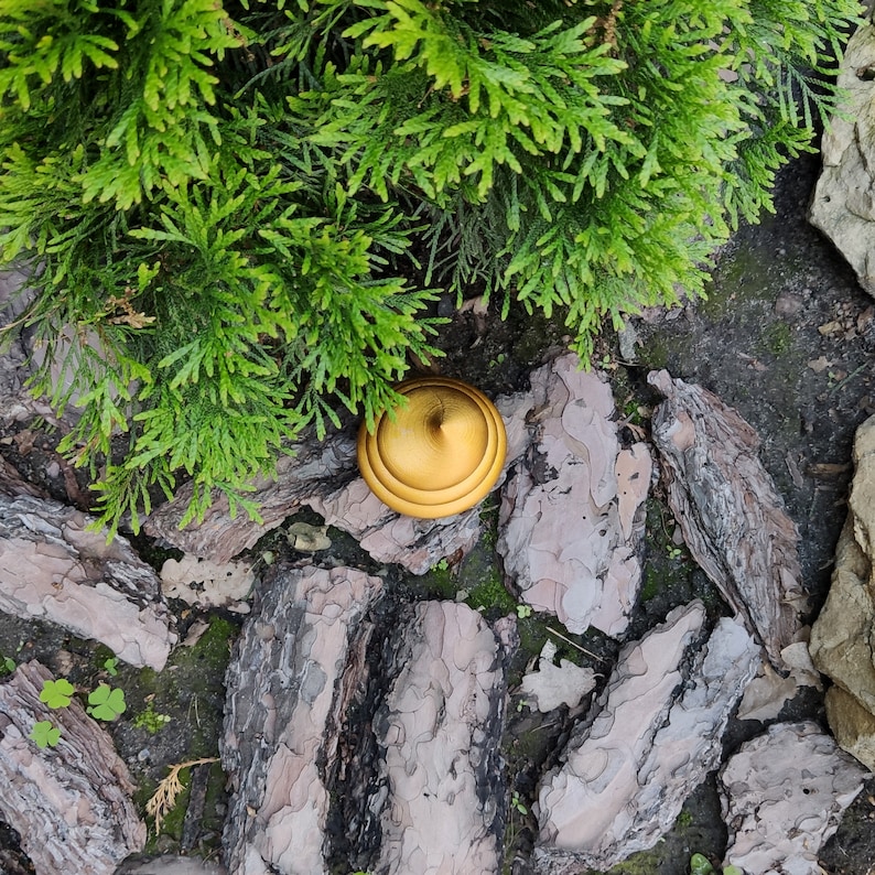 Korok Seed Small Hestus Gift Golden Poop Zelda Breath of - Etsy UK