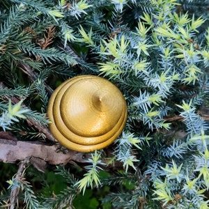 Hestu's Gift - Super Shining - Korok Seed - Golden Poop - BOTW- 3D ...