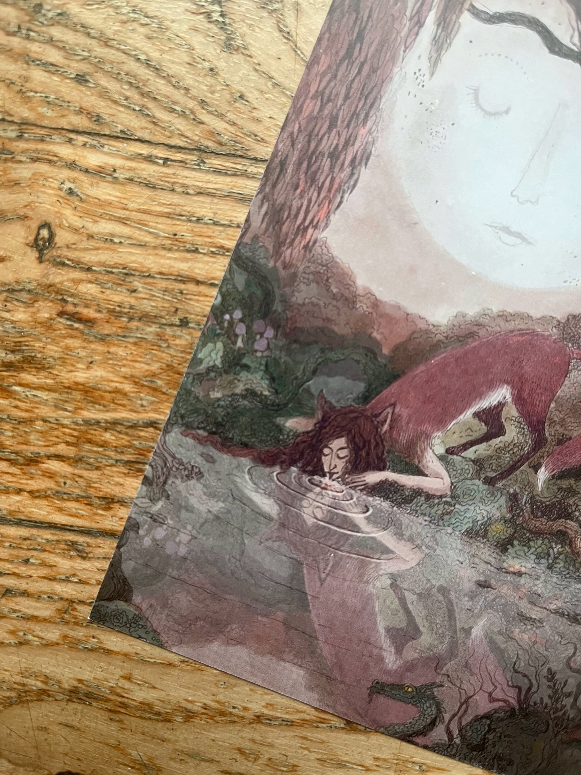 Set of 5 Art Postcards, Enchanted Forest, Shape Shifters, Full Moon ...