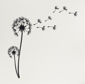 The Infinity Kinetic Sculpture Wooden Kinetic Sculpture Art - Etsy Canada