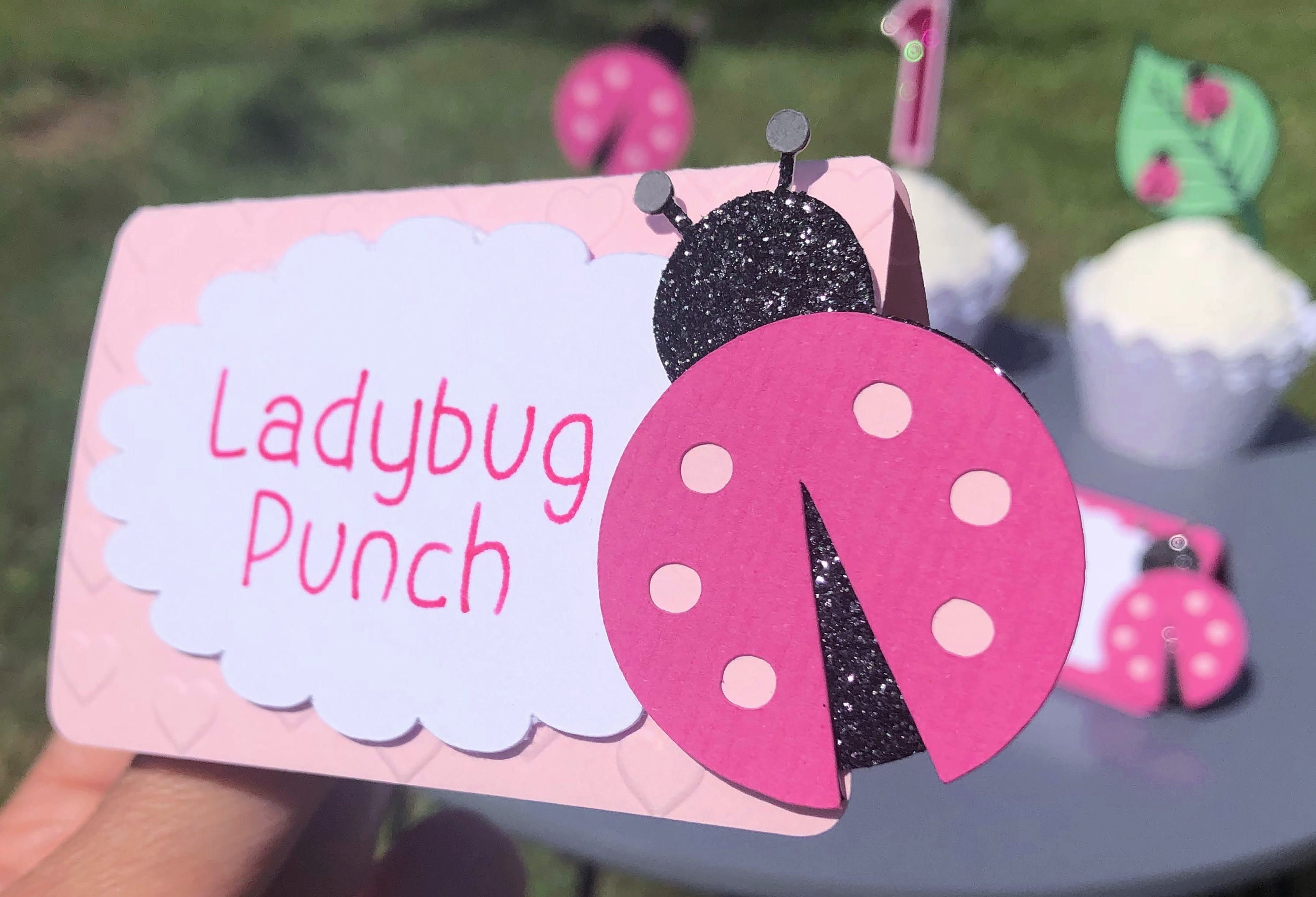 Pink Ladybug Decorations