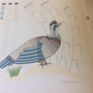 Navajo Gerald Nailor Quail Silkscreen Navajo Art Bird Art Vintage ...