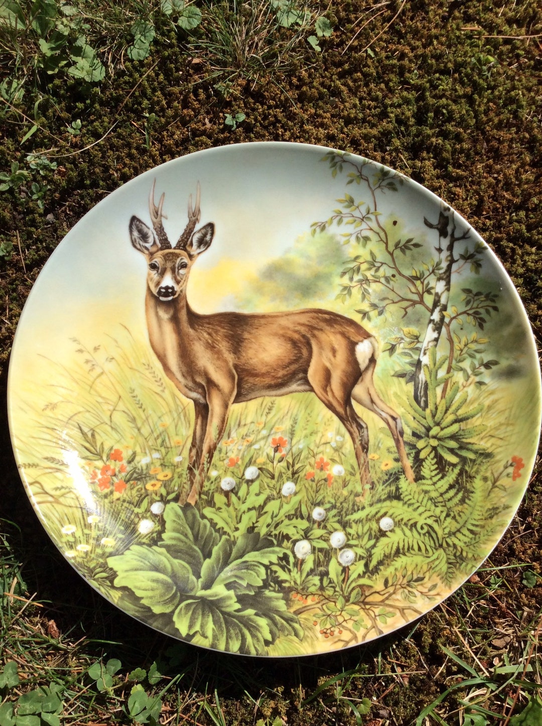 Kaiser Plate Wall Decor Kaiser Six Point Buck. Hunters Deer Collectible ...