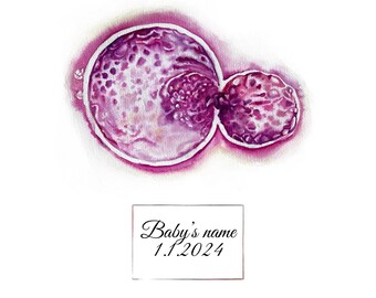 Custom Embryo Watercolor Painting - Etsy