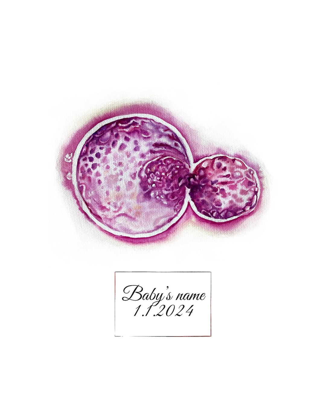 Hand Painted Ivf Embryo Painting, Watercolor Embryo Art, IVF Gift ...