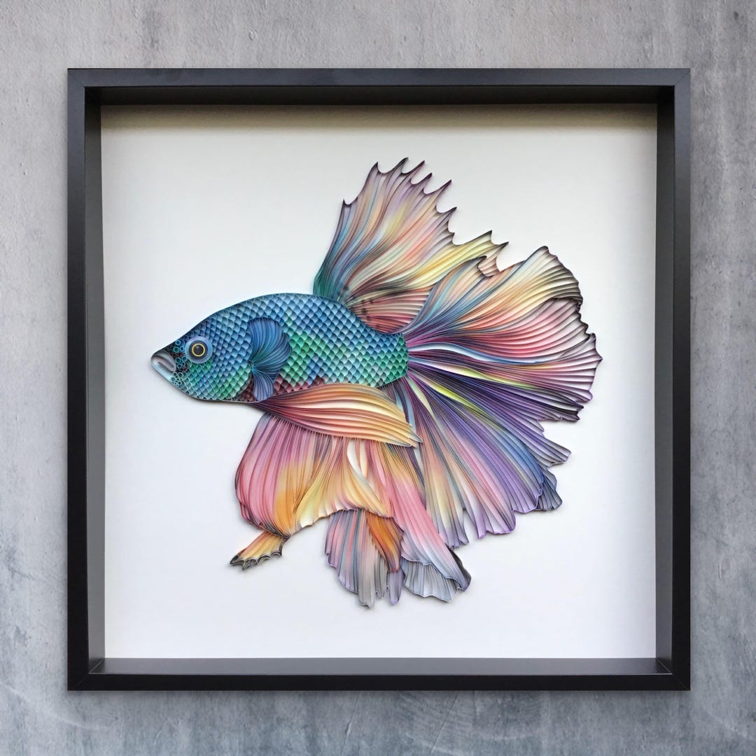 Quilled Fish Art, 50x50 Cm, Betta Fish, 3D Framed Paper Art, Covered ...